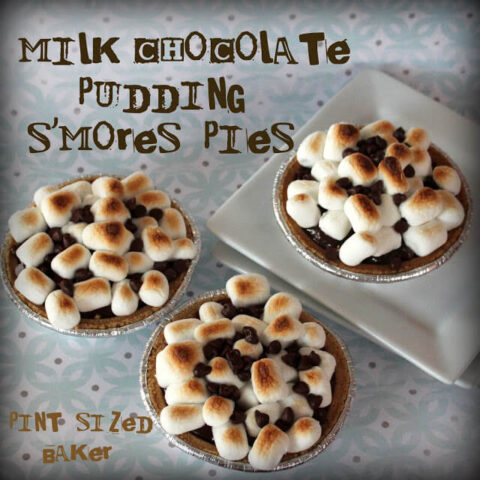 Chocolate Pudding Mini S'mores Pies - Pint Sized Baker