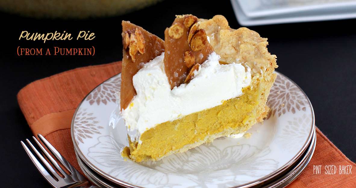 Special Thanksgiving Pumpkin Pie • Pint Sized Baker