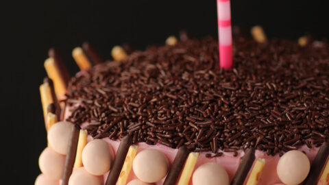 The Best Birthday Cake Collection • Pint Sized Baker