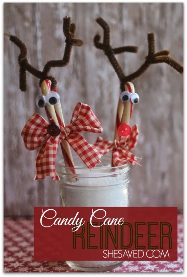 Candy Cane Christmas Collection - Pint Sized Baker