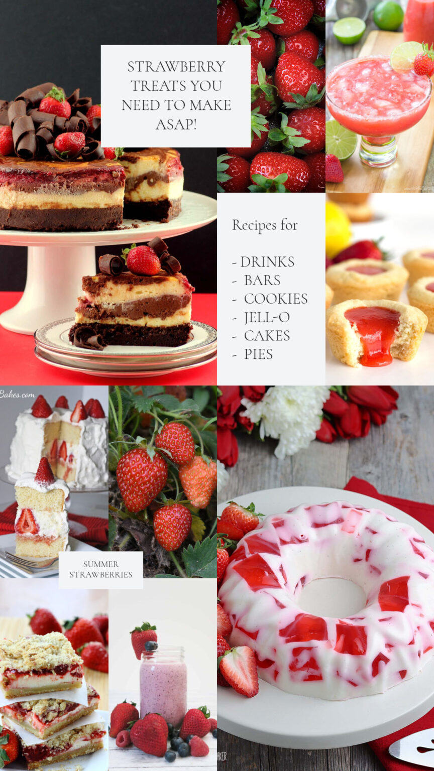 Citrus Explosion - Recipes and DIY - Pint Sized Baker