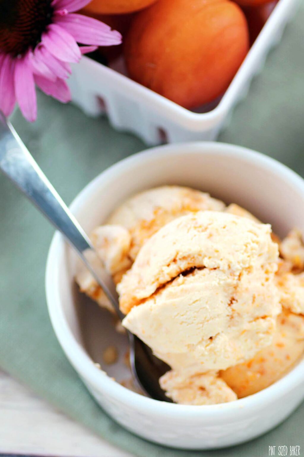 Apricot Ice Cream • Pint Sized Baker