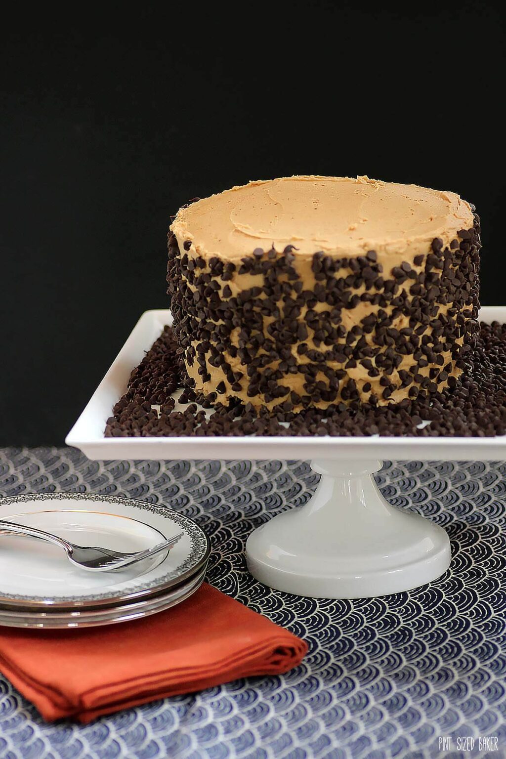 Chocolate Peanut Butter Cake 2672