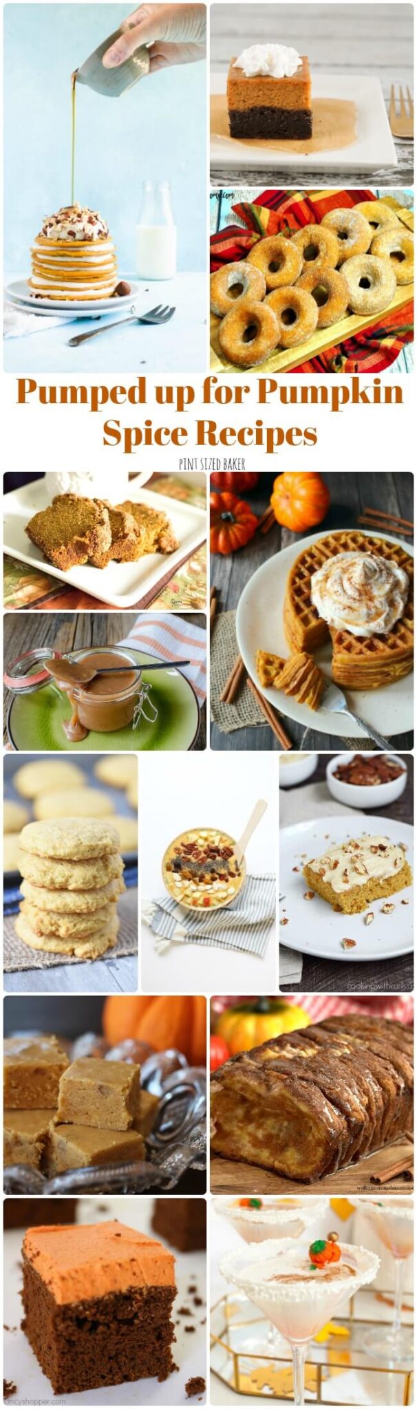 Pumped up for Pumpkin Spice Recipes • Pint Sized Baker