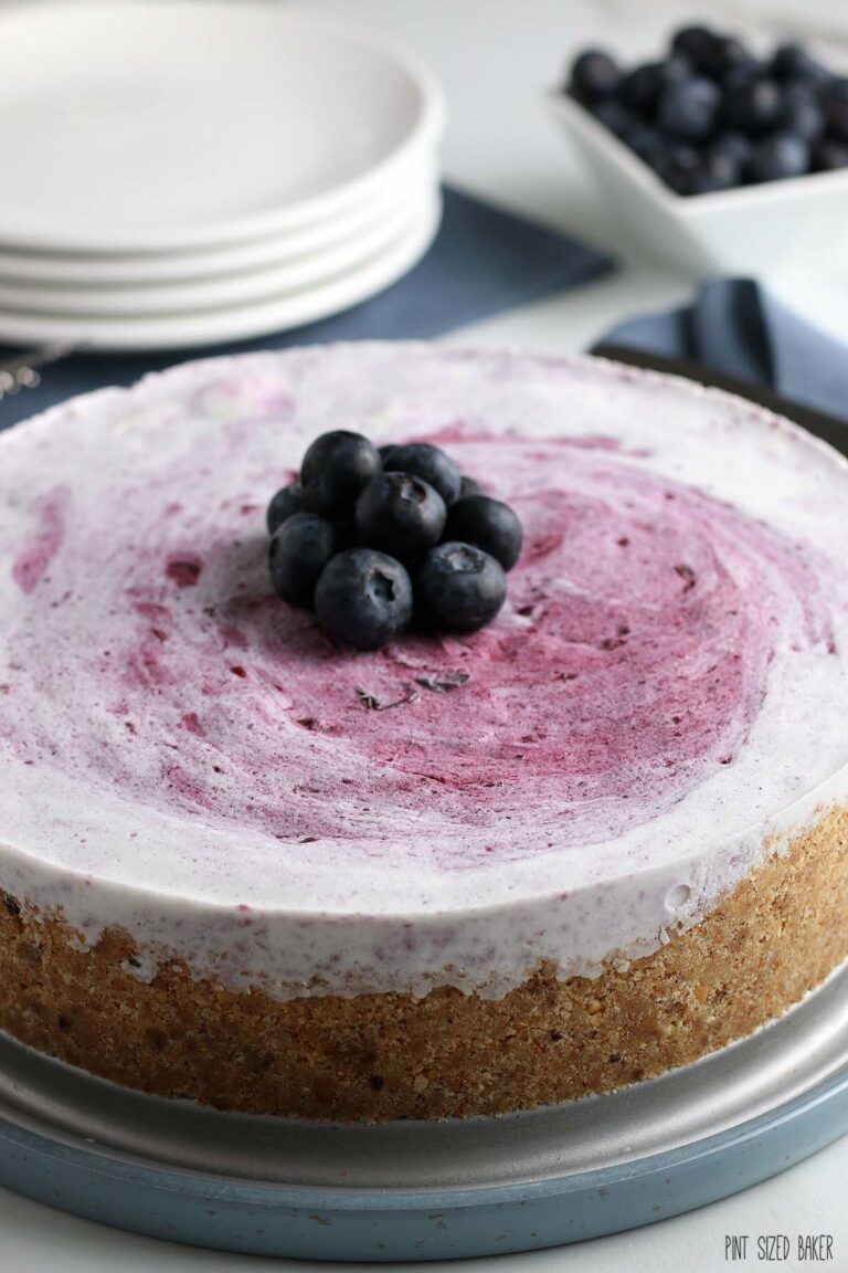 Blueberry Ice Cream Tart + Video • Pint Sized Baker