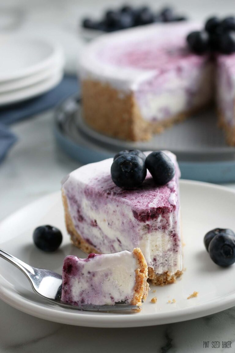 Blueberry Ice Cream Tart + Video • Pint Sized Baker