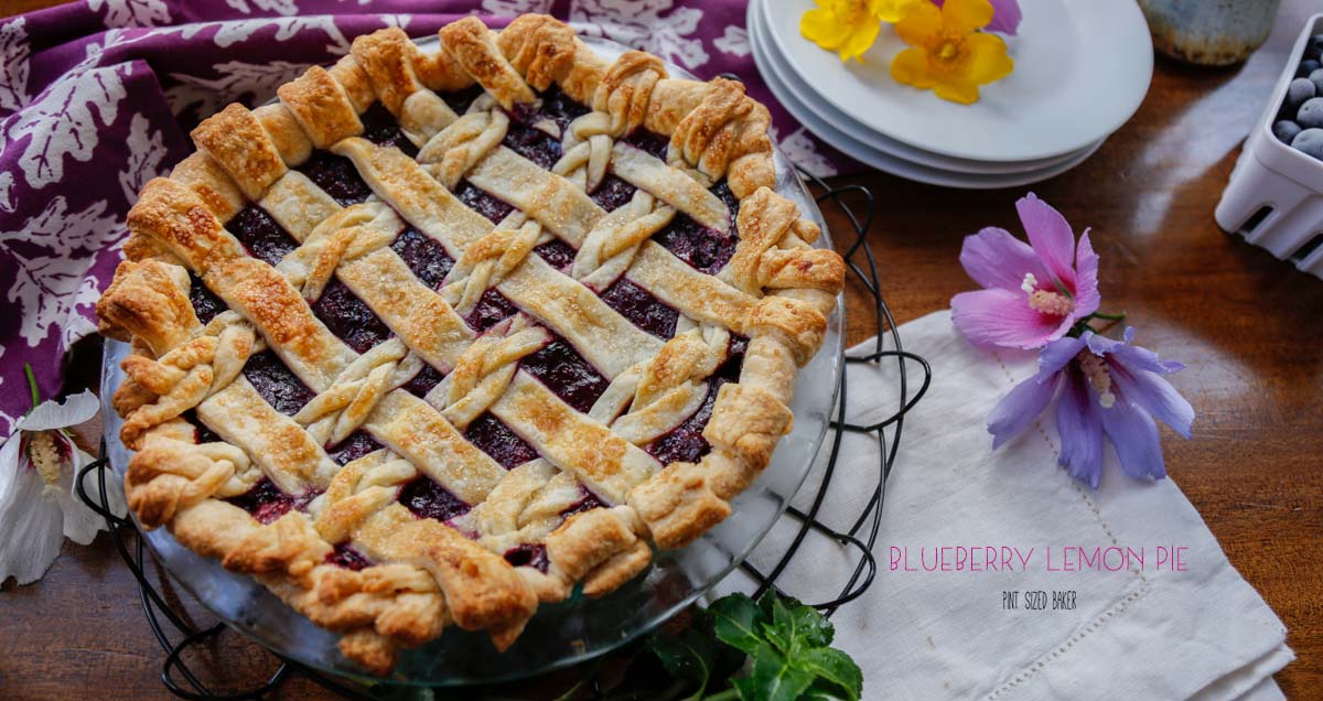 Blueberry Lemon Pie • Pint Sized Baker