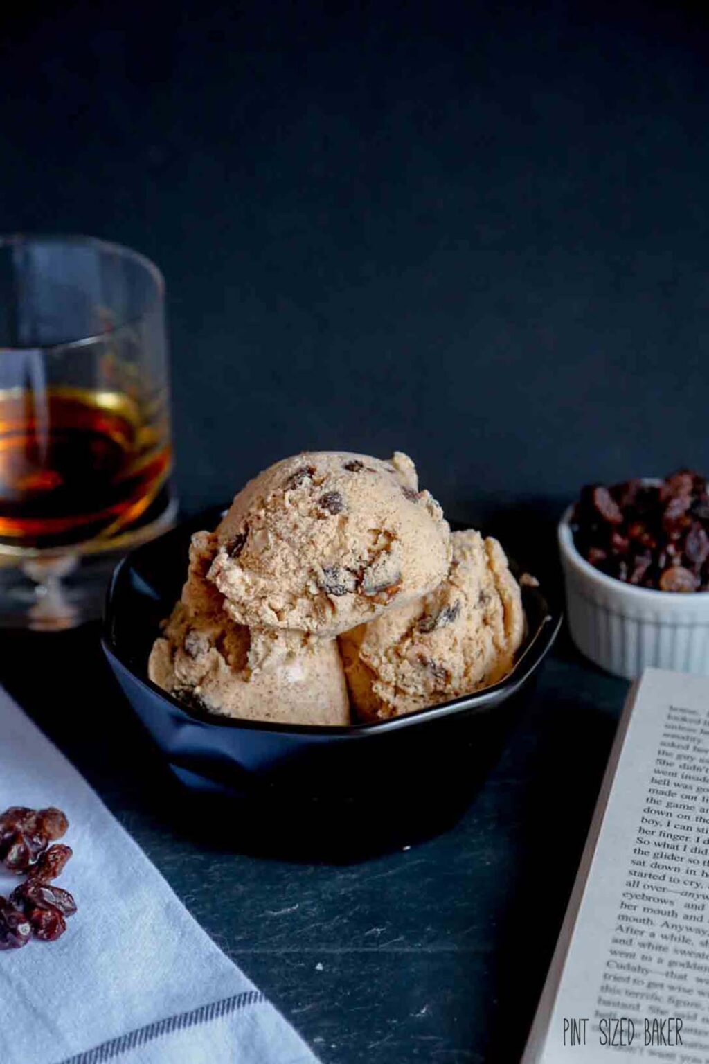 Delicious Rum Raisin Ice Cream • Pint Sized Baker