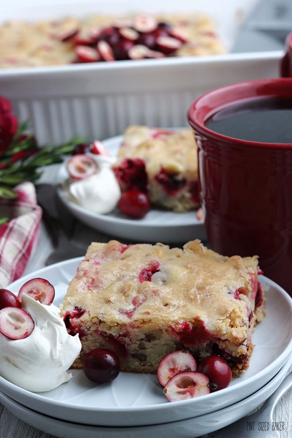 Cranberry Cake Recipe • Pint Sized Baker